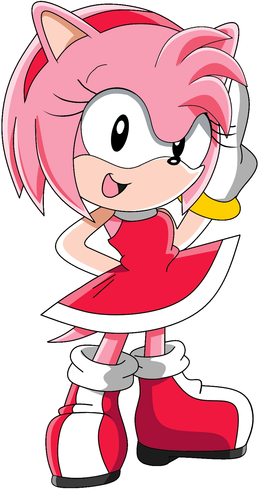 Amy Rose | Sonic Satam Wiki | FANDOM powered by Wikia
