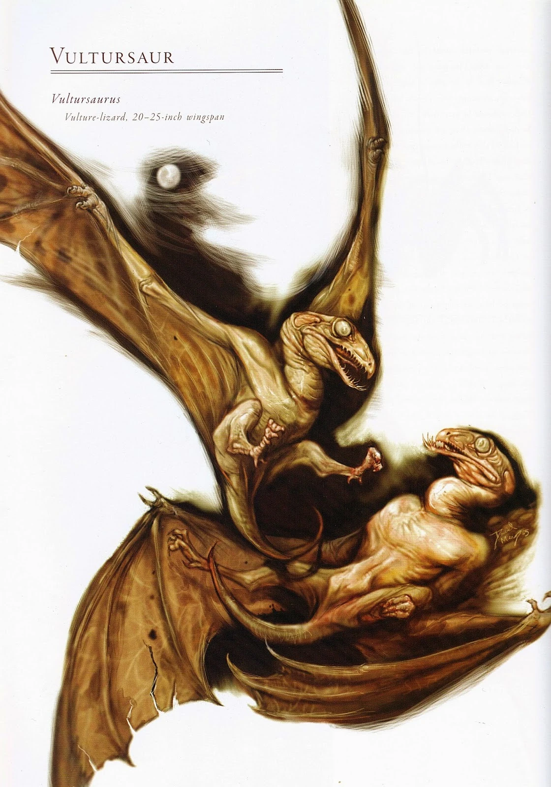 Vultursaur | Speculative Evolution Wiki | FANDOM powered by Wikia