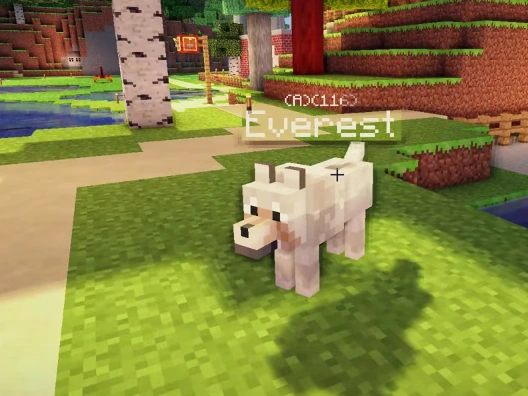 Everest | StacyPlays Wiki | FANDOM powered by Wikia