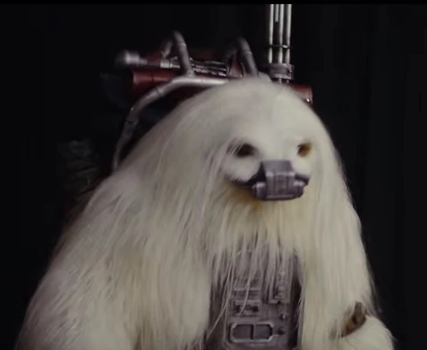 Moroff | Star Wars Canon Wiki | Fandom powered by Wikia