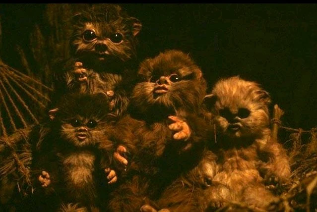 Ewok | Star Wars Wiki | FANDOM powered by Wikia