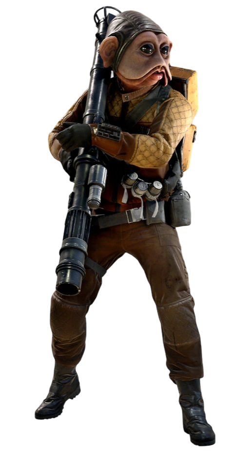 Sullustan | Wookieepedia | Fandom powered by Wikia