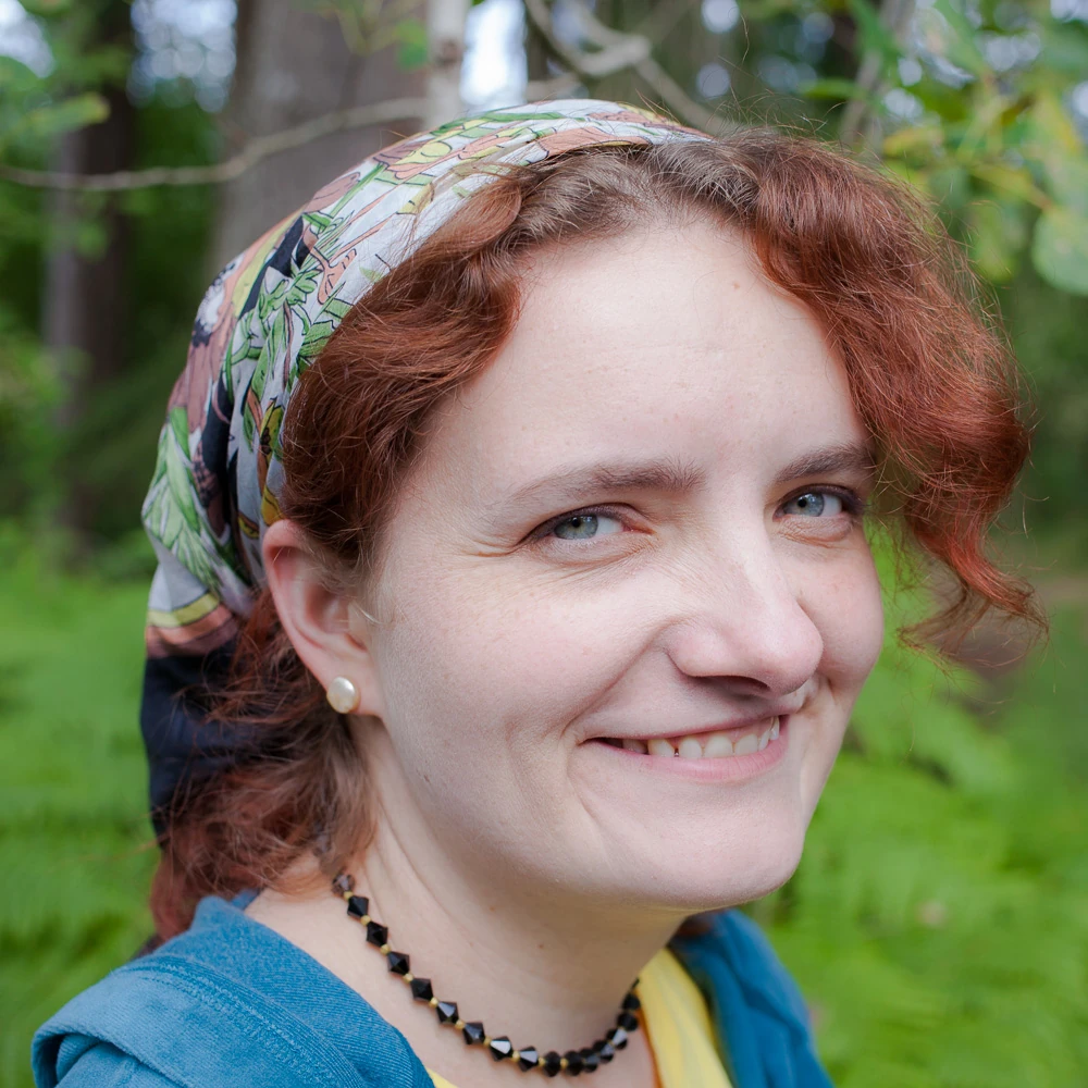 Изображение - Raven14.jpg | Вселенная Стивена Вики | FANDOM powered by ...