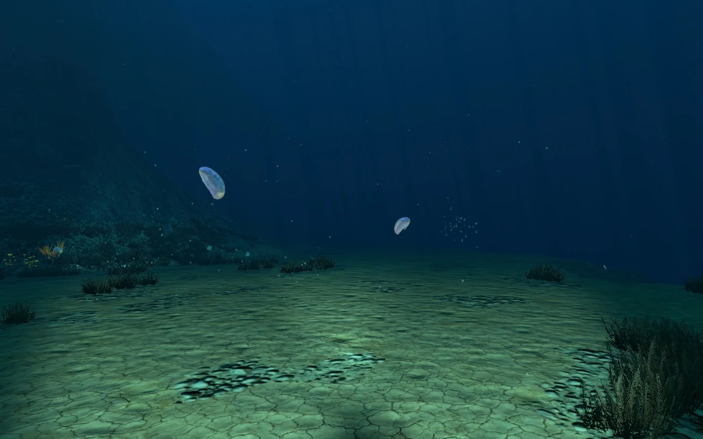Sea Treader's Path | Subnautica Wiki | FANDOM powered by Wikia