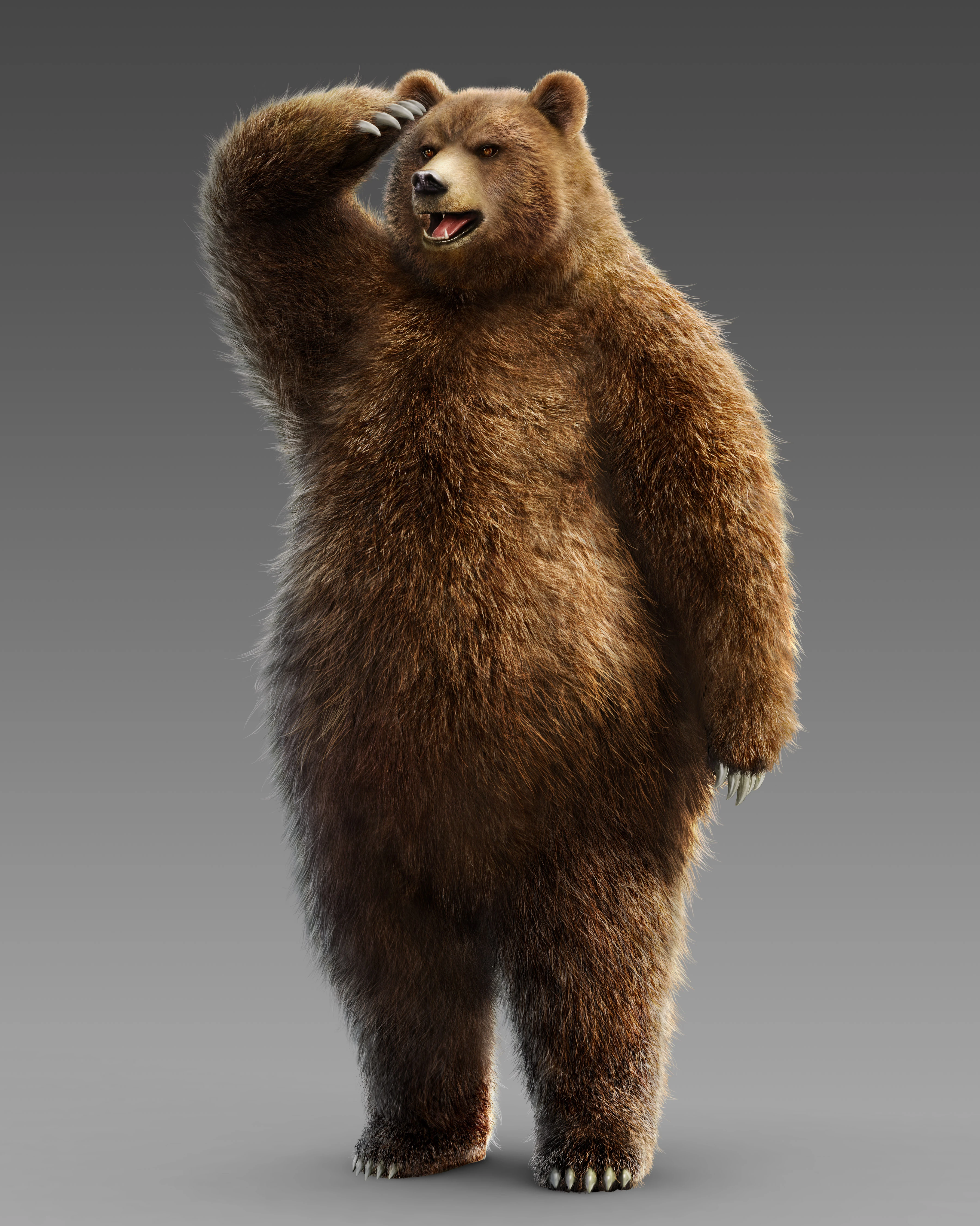 Kuma | Tekken Wiki | FANDOM powered by Wikia