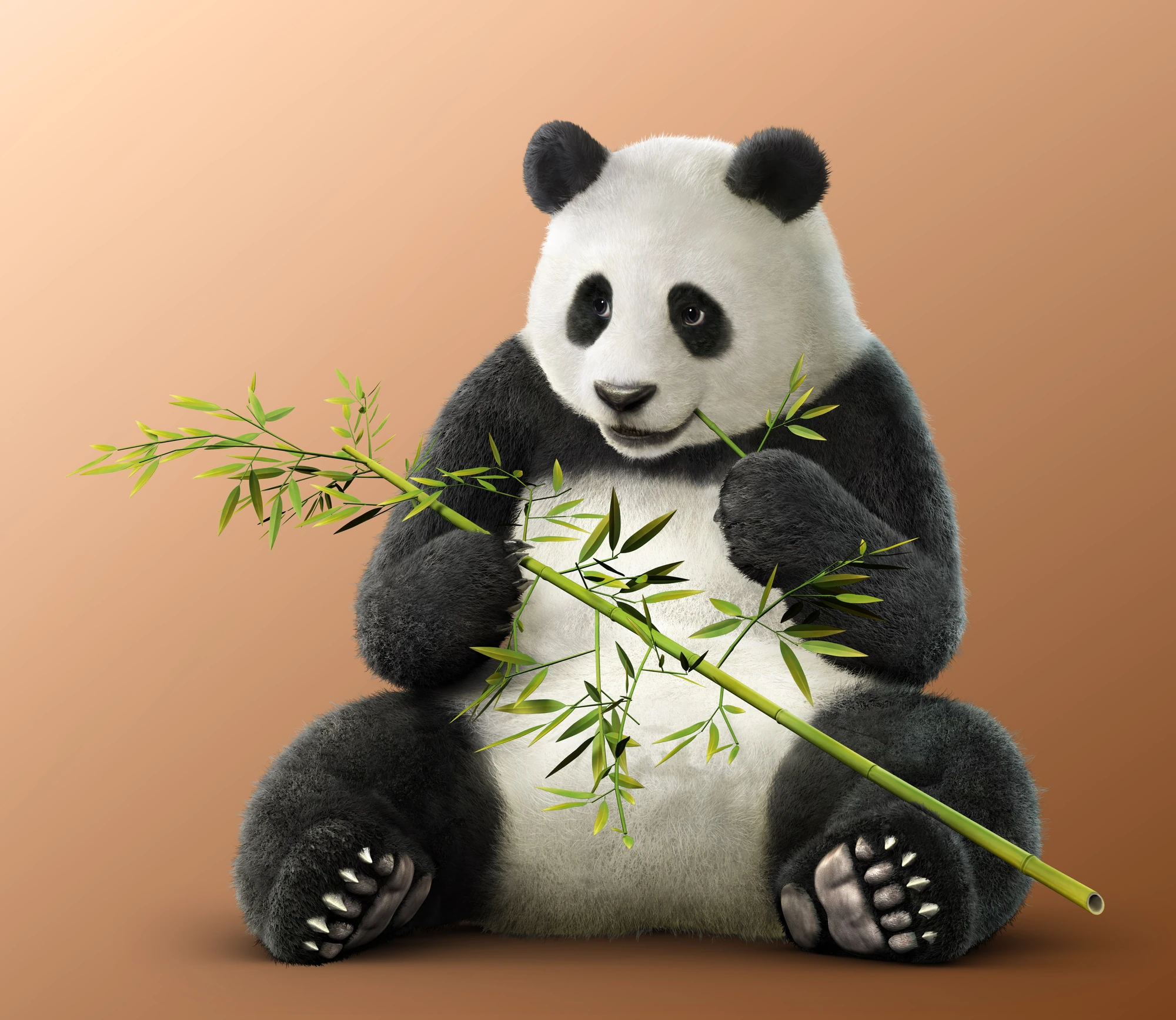 Panda | Tekken Wiki | FANDOM powered by Wikia