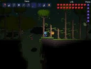 Snatcher | Terraria Wiki | Fandom powered by Wikia