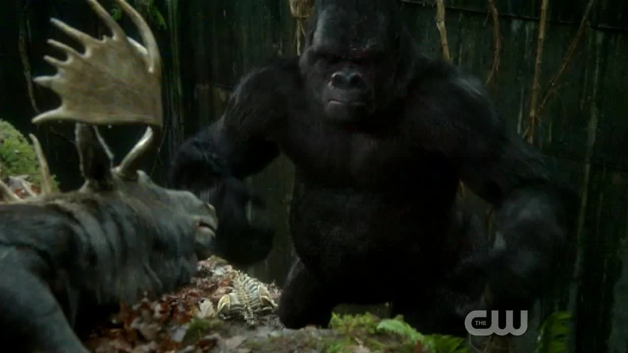 Image - Pauna.jpg | The 100 Wiki | FANDOM powered by Wikia