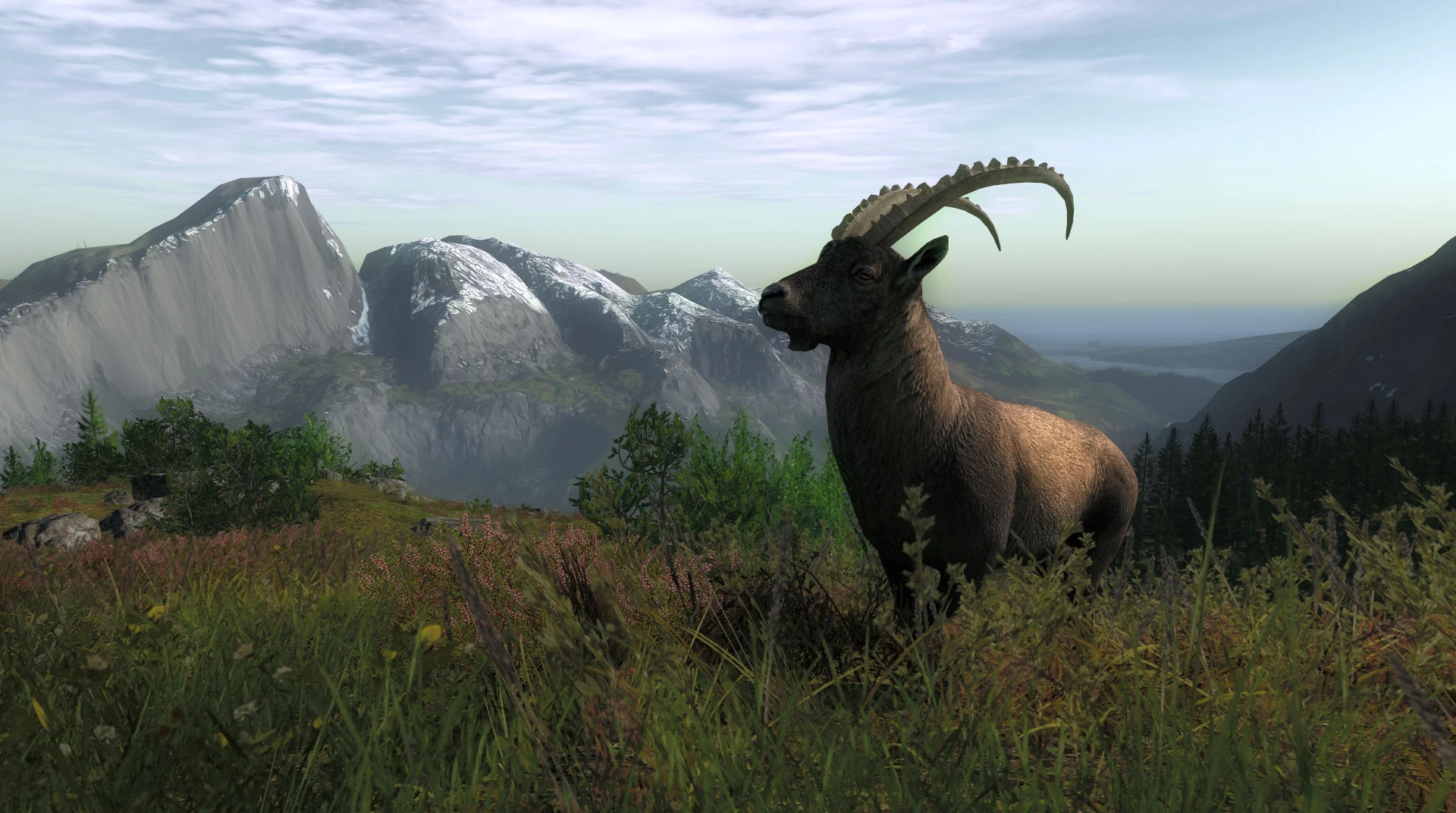 Image - Ibex 6.jpg | The Hunter Wikia | Fandom powered by Wikia