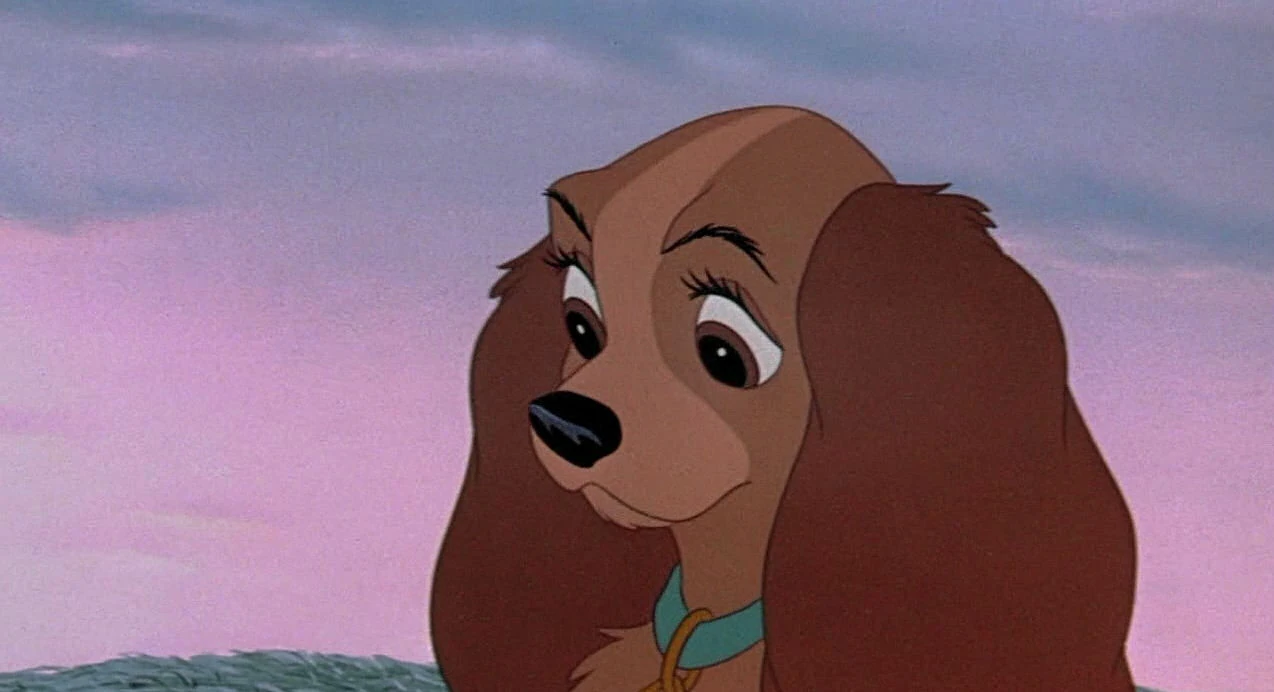 American Cocker Spaniel | The lady and the tramp Wiki | FANDOM powered ...