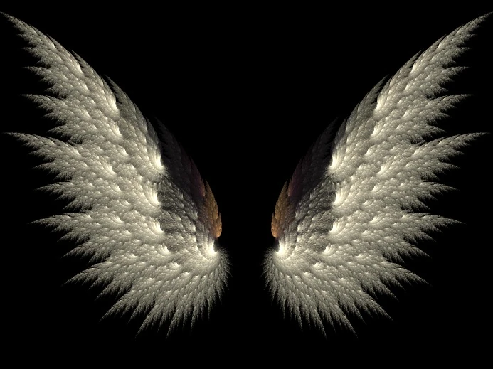 Image - Brown wings black background.jpg | Maximum Ride Wiki | FANDOM ...