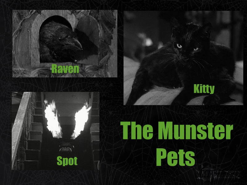 Kitty | The Munsters Wiki | Fandom powered by Wikia