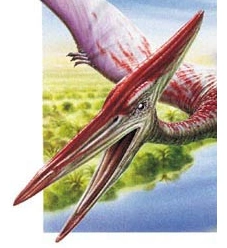 Image - Pterodactyl Head.png | Thornbark Wiki | Fandom powered by Wikia