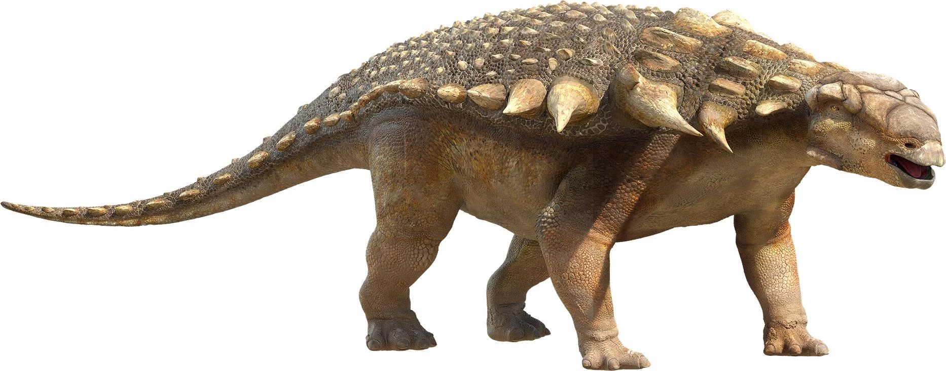 Image - Edmontonia 1.jpg | Trilogy of Life Wiki | Fandom powered by Wikia