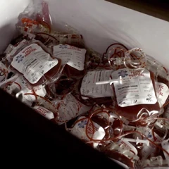 Blood | The Vampire Diaries Wiki | FANDOM powered by Wikia