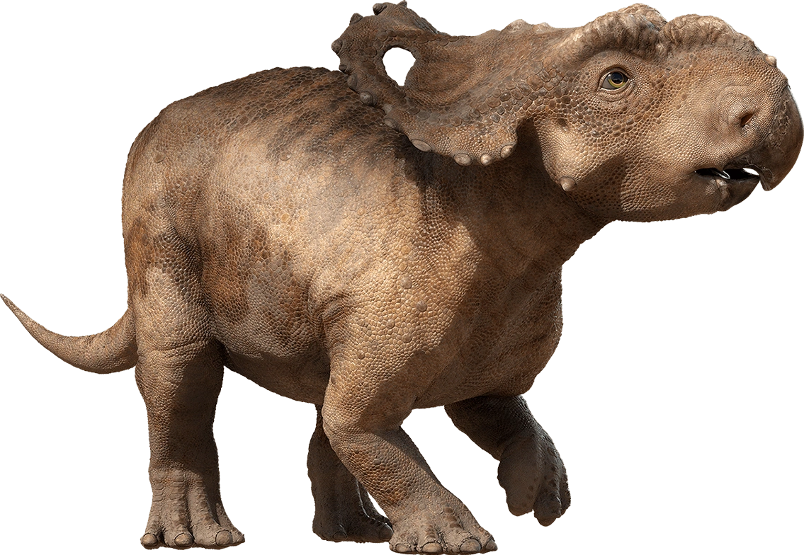 Image - Patchi.png | Walking with Dinosaurs Wiki | FANDOM powered by Wikia