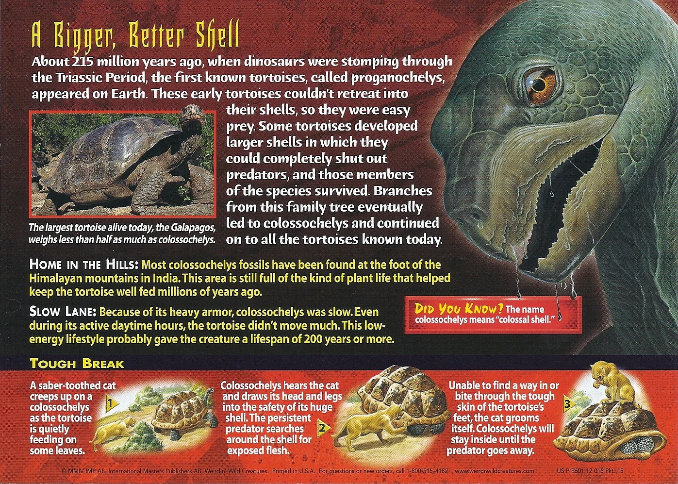 Image - Colossochelys back.jpg | Wierd N'wild Creatures Wiki | FANDOM ...