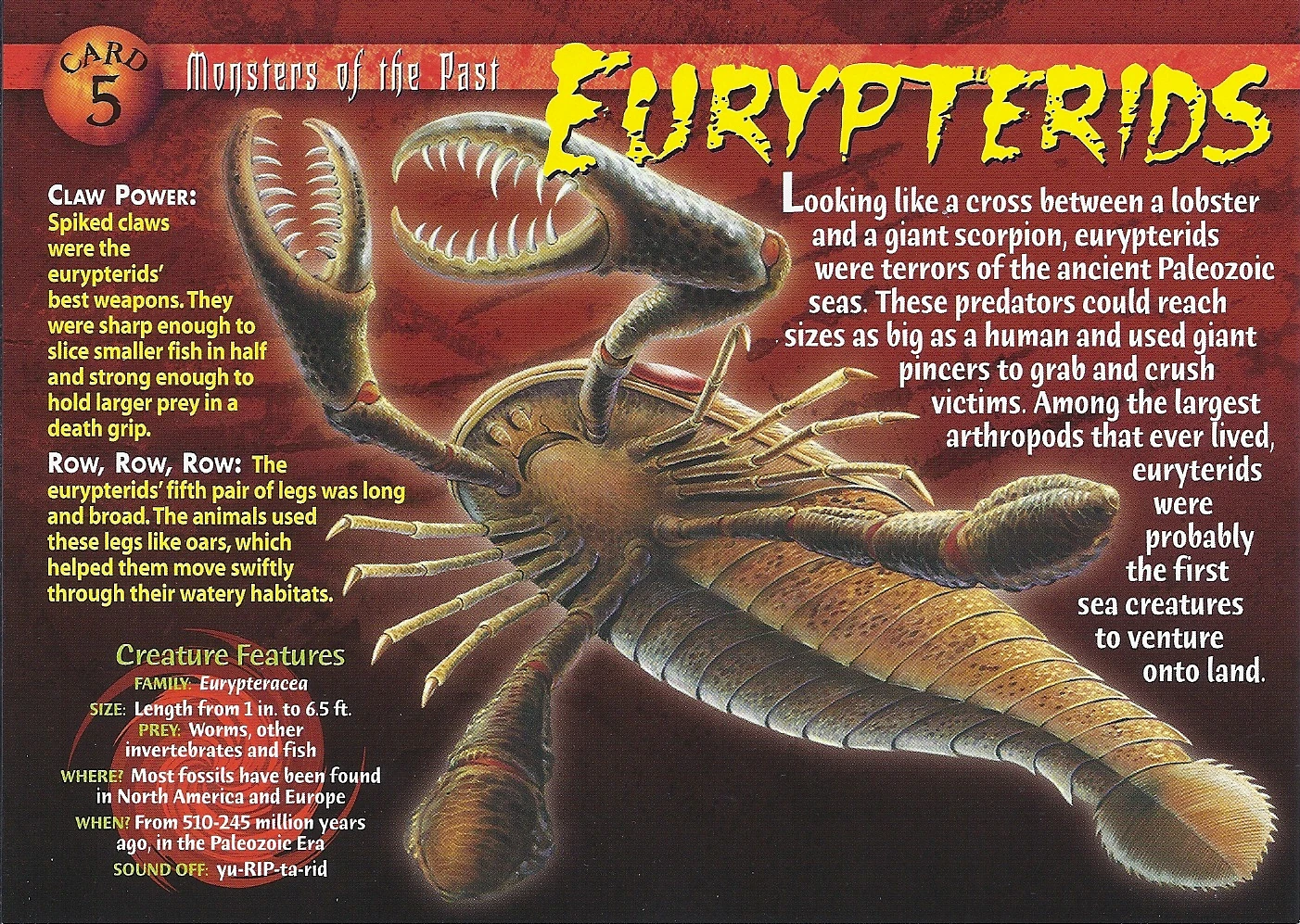 Eurypterids | Wierd N'wild Creatures Wiki | FANDOM powered by Wikia