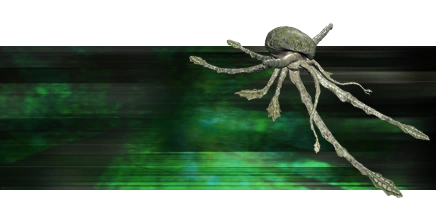 Squibbon | Wild Future Wiki | Fandom powered by Wikia