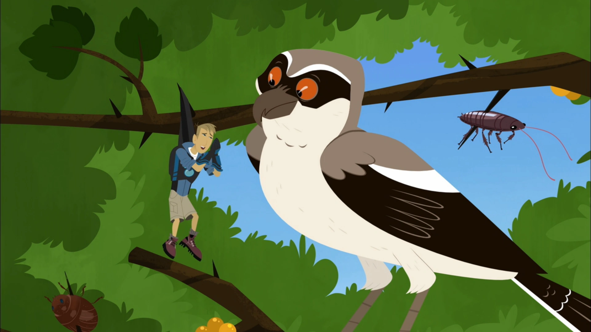 Image - Wk301.png | Wild Kratts Wiki | FANDOM powered by Wikia