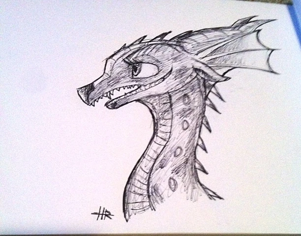 Image - RainWing sketch .jpg | Wings of Fire Fanon Wiki | FANDOM ...