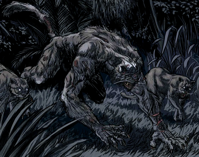 Werecat | Witcher Wiki | FANDOM powered by Wikia