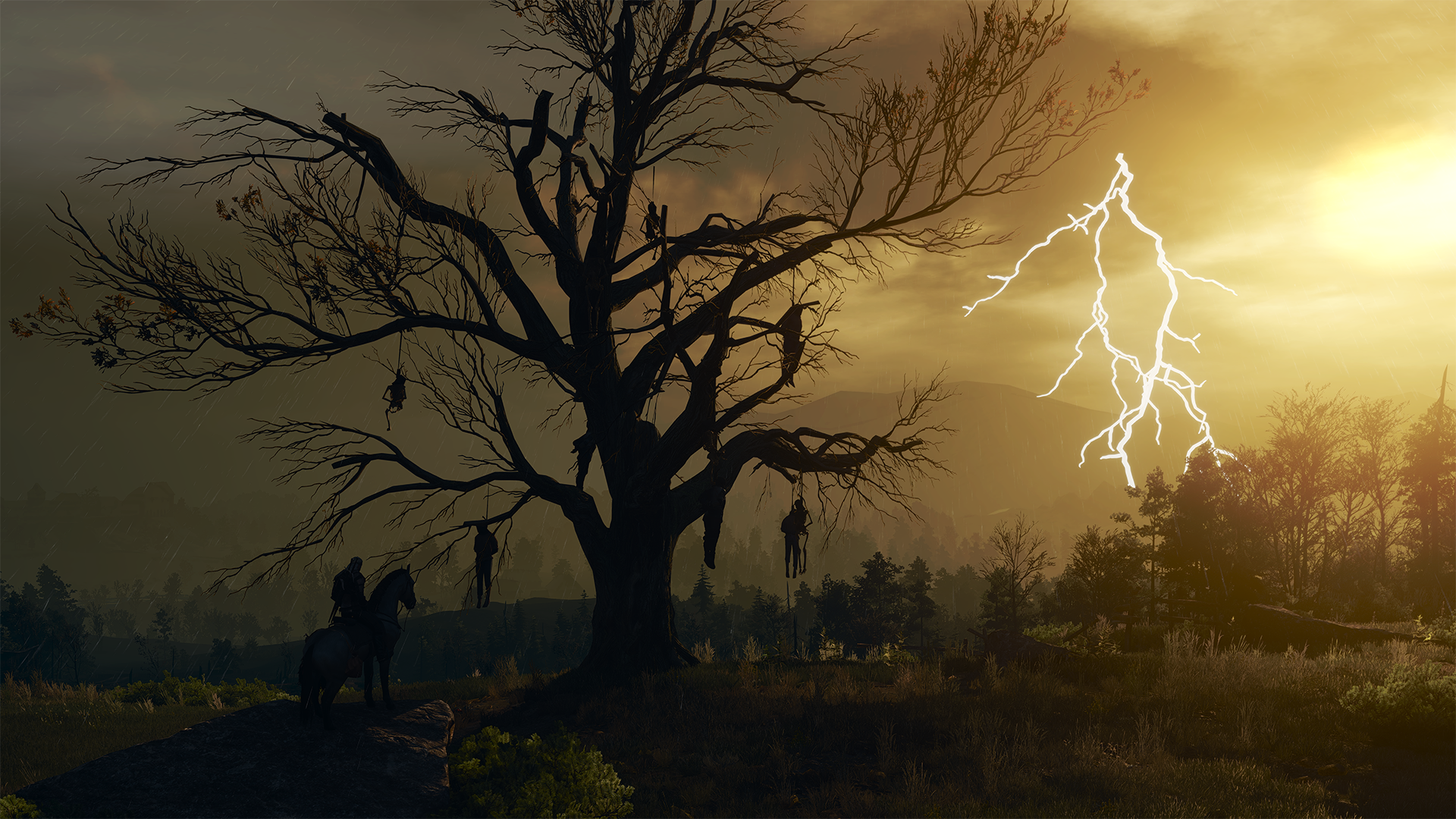 Hanged Man's Tree | Witcher Wiki | FANDOM powered by Wikia
